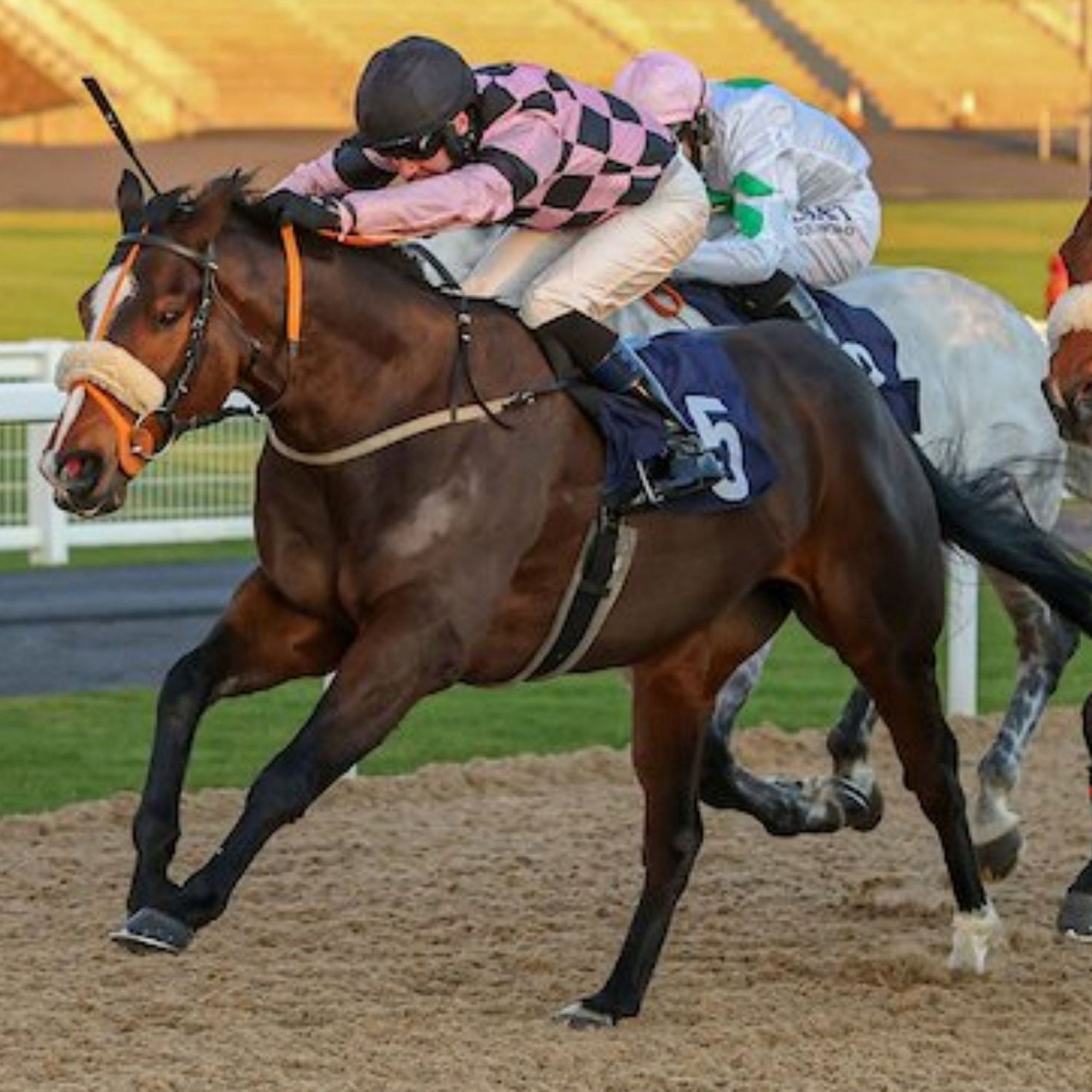 Michael Herrington Racing: Winners from Mount House Stables